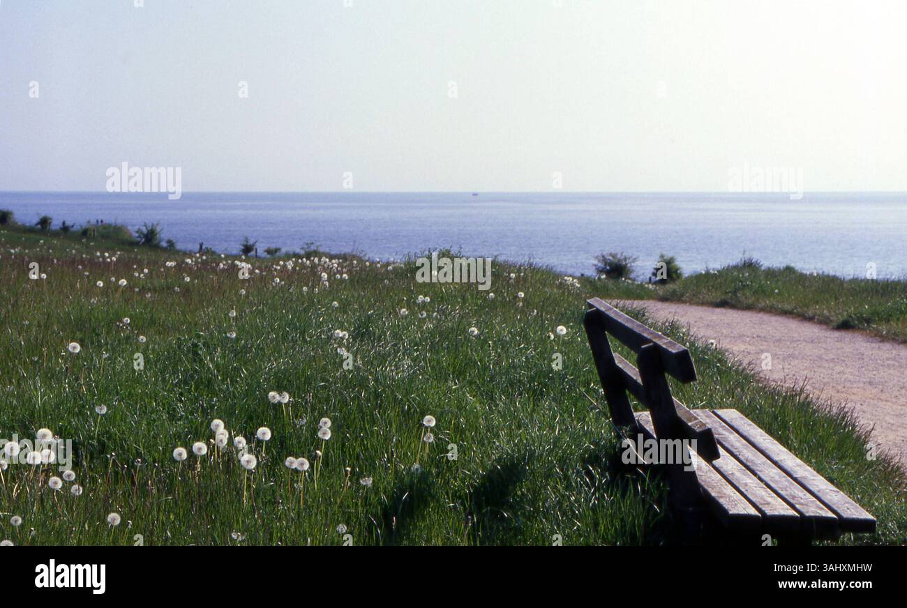24.05.2001 Boltenhagen Steilküste Deutschland/ Mecklenburg Vorpommern ...
