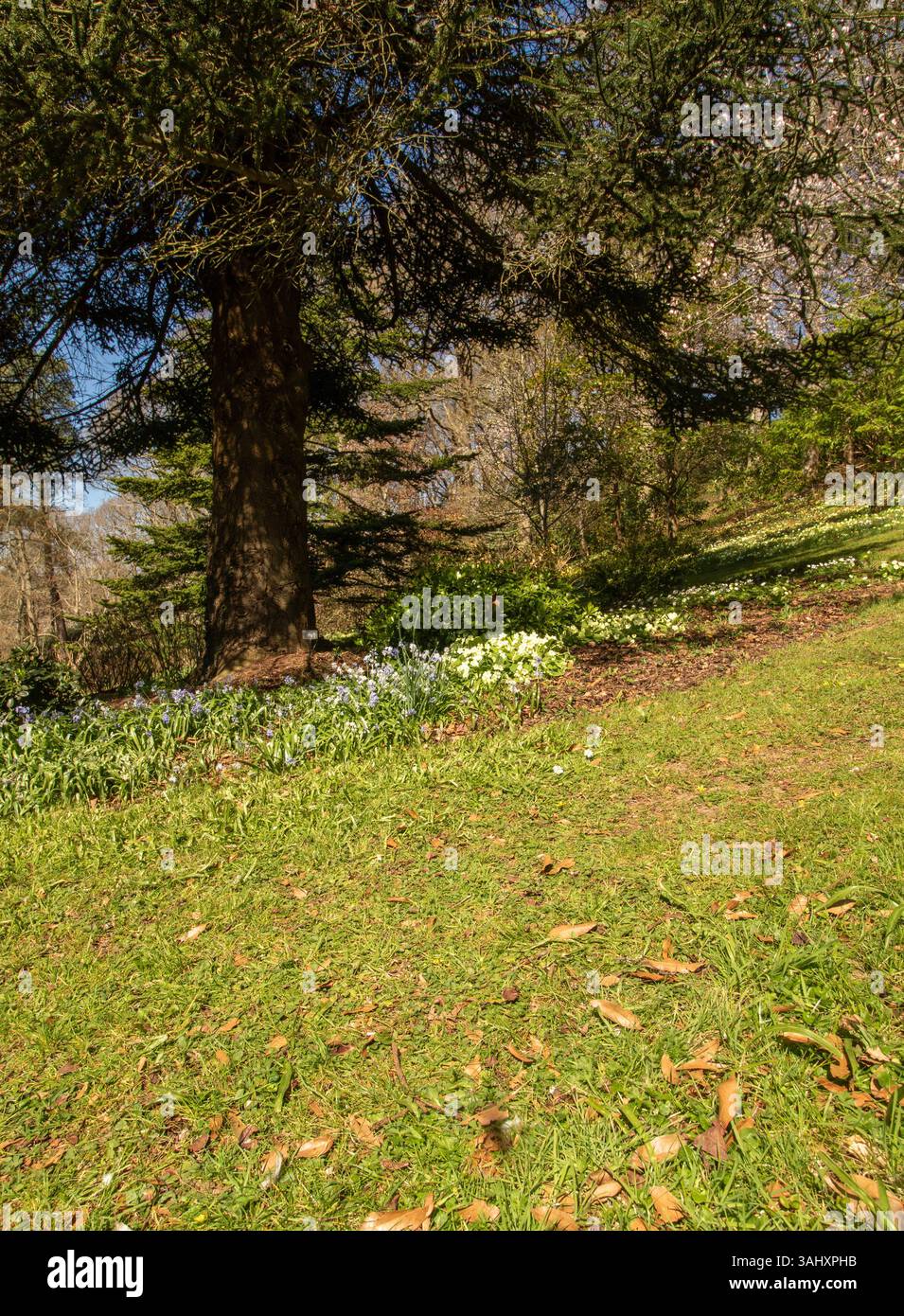 RHS Garden Rosemoor, botanical garden in North Devon, England.Alluring ...