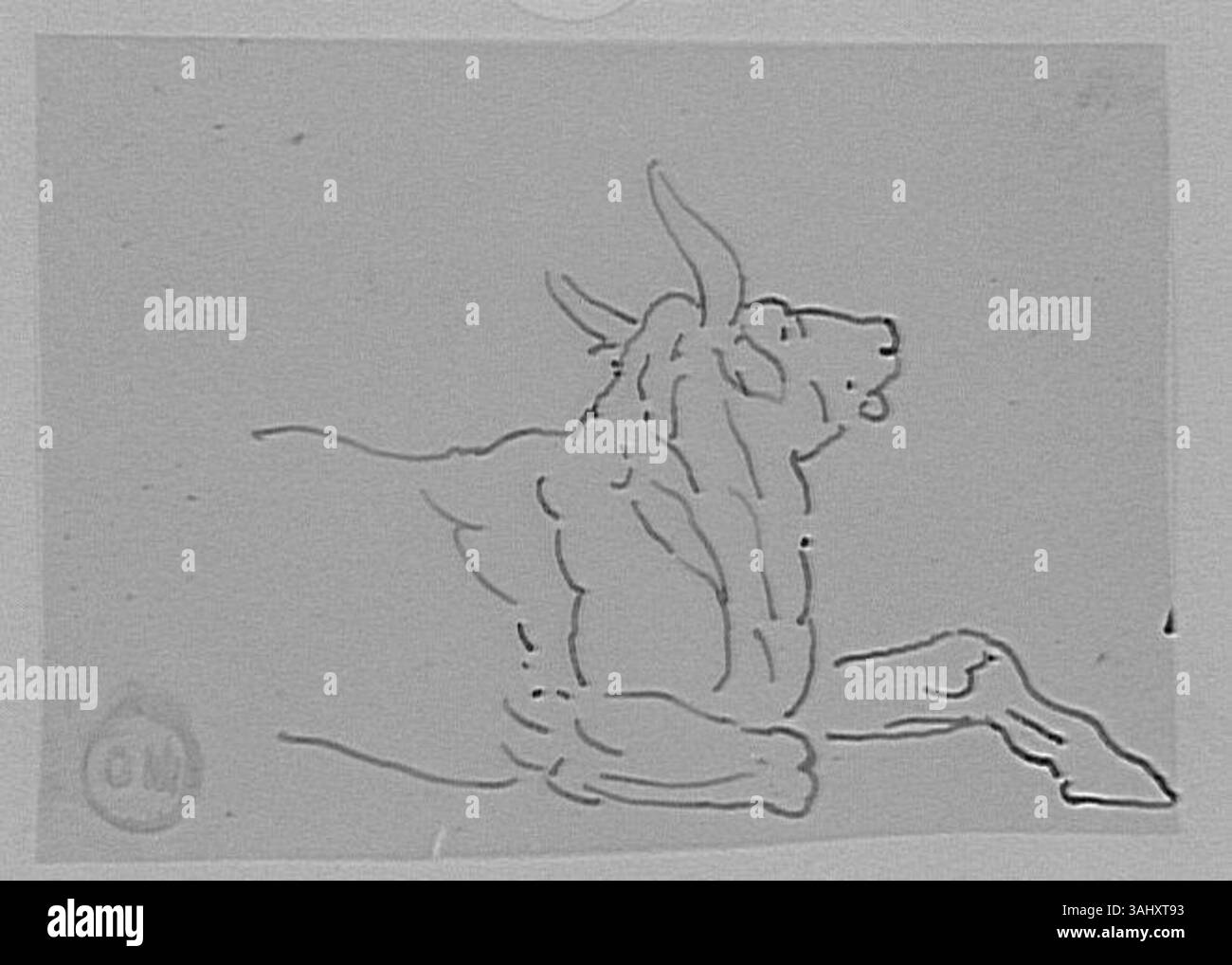 Detailed animal portrayal Black and White Stock Photos & Images - Alamy