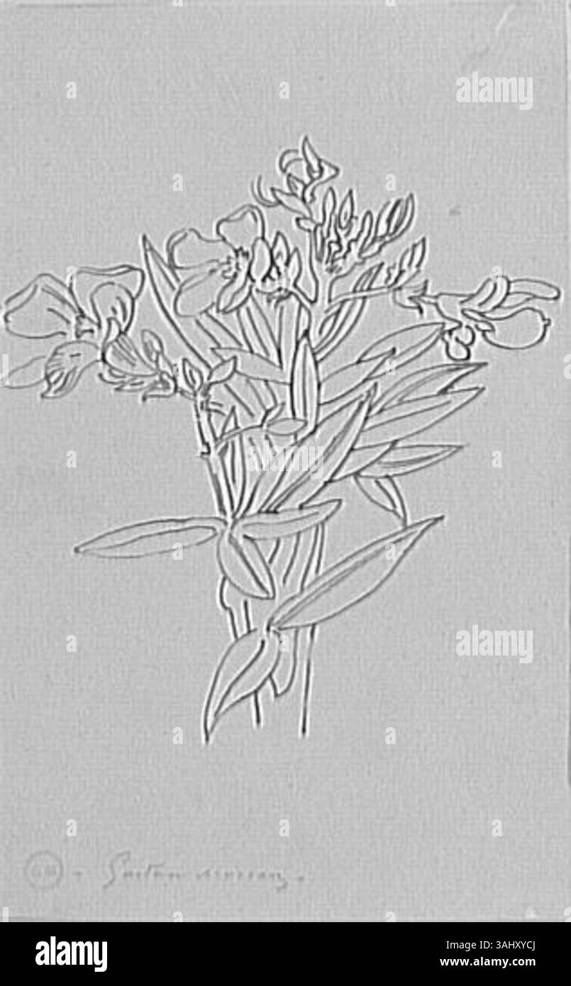 Etude de la structure hi-res stock photography and images - Alamy