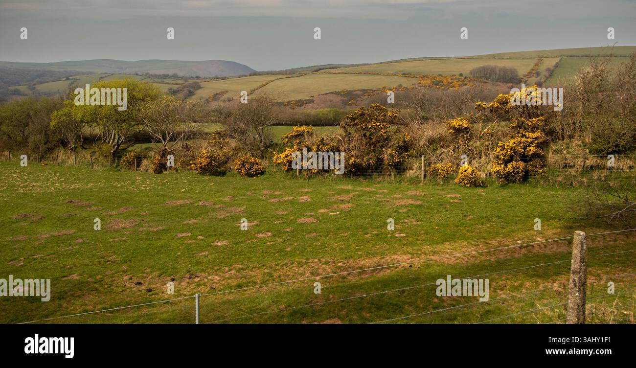 Lynton & Barnstaple narrow gauge railway tourist attraction in North ...