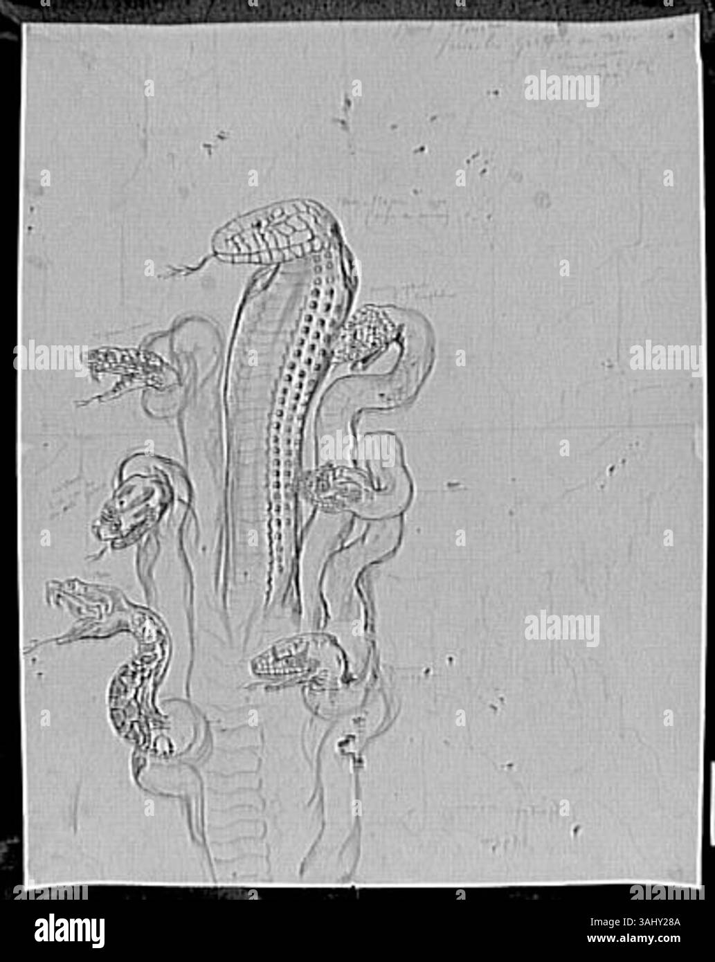 This study of the Hydra's head for 'Hercules and the Hydra of Lerna ...
