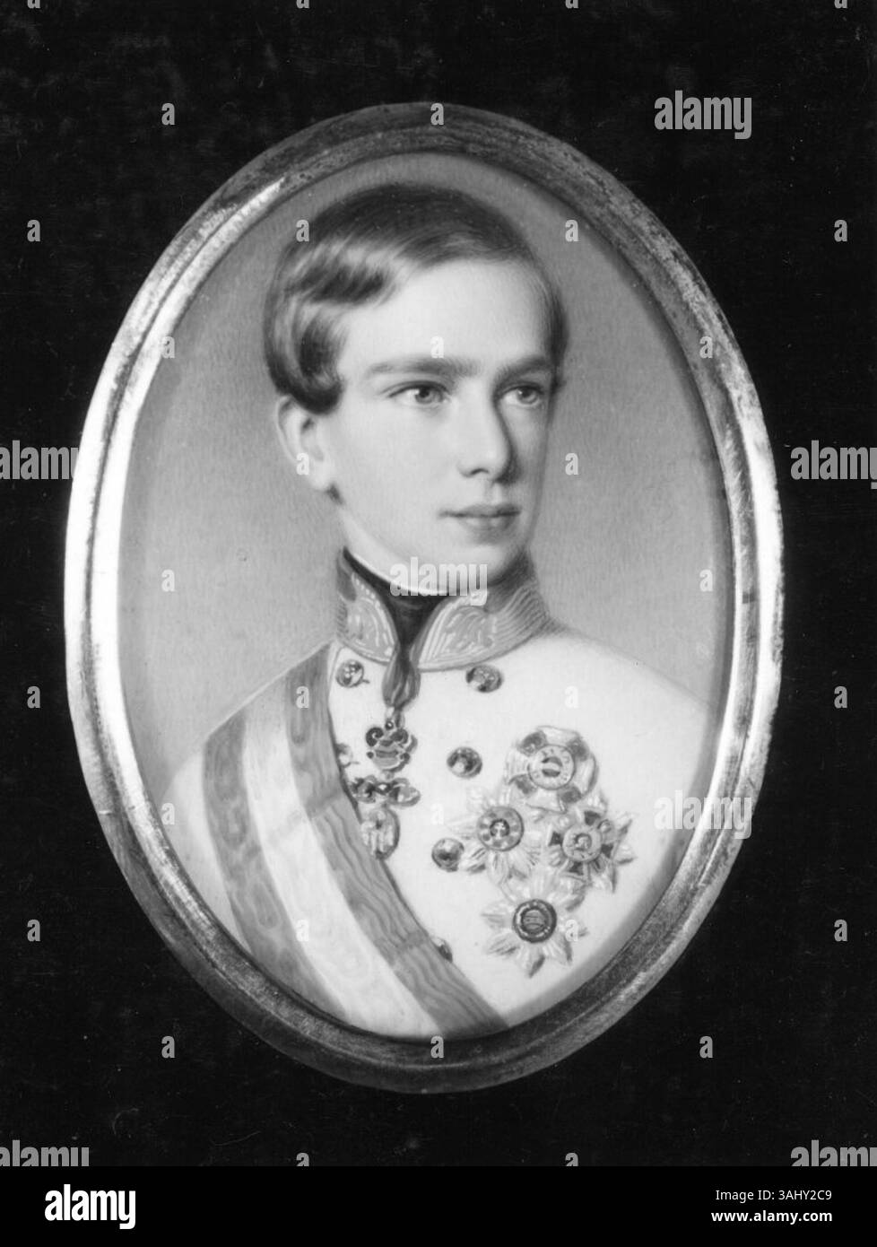 The 19th-century painting by Robert Theer depicts Emperor Franz Joseph ...