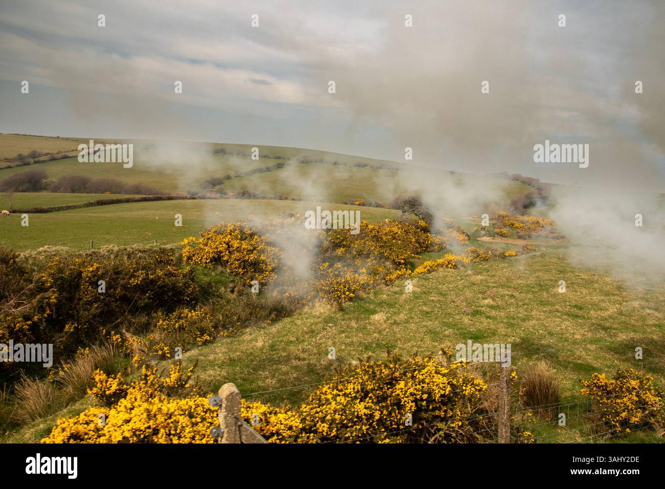 Lynton & Barnstaple narrow gauge railway tourist attraction in North ...
