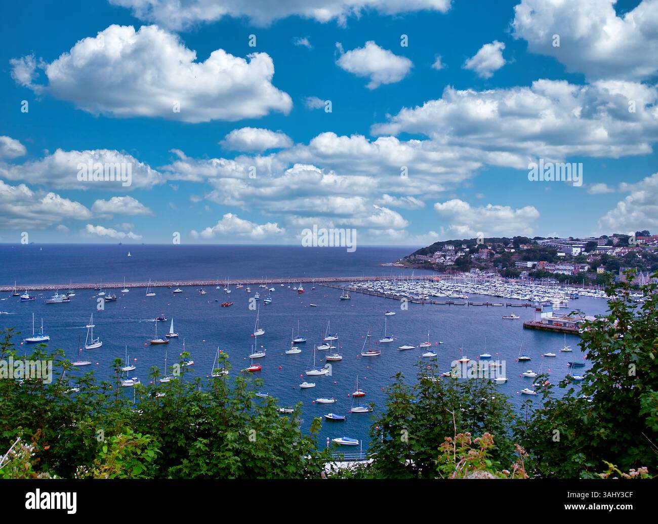 Brixham marina and outer harbour in Torbay full of boats of all shapes ...