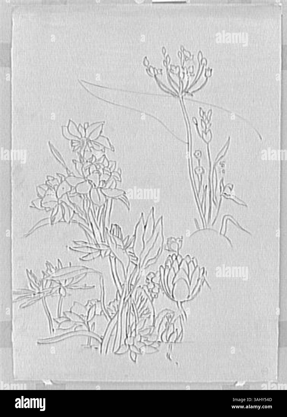 Gustave Moreau’s study of aquatic plants for 'The Daughters of Thespius ...