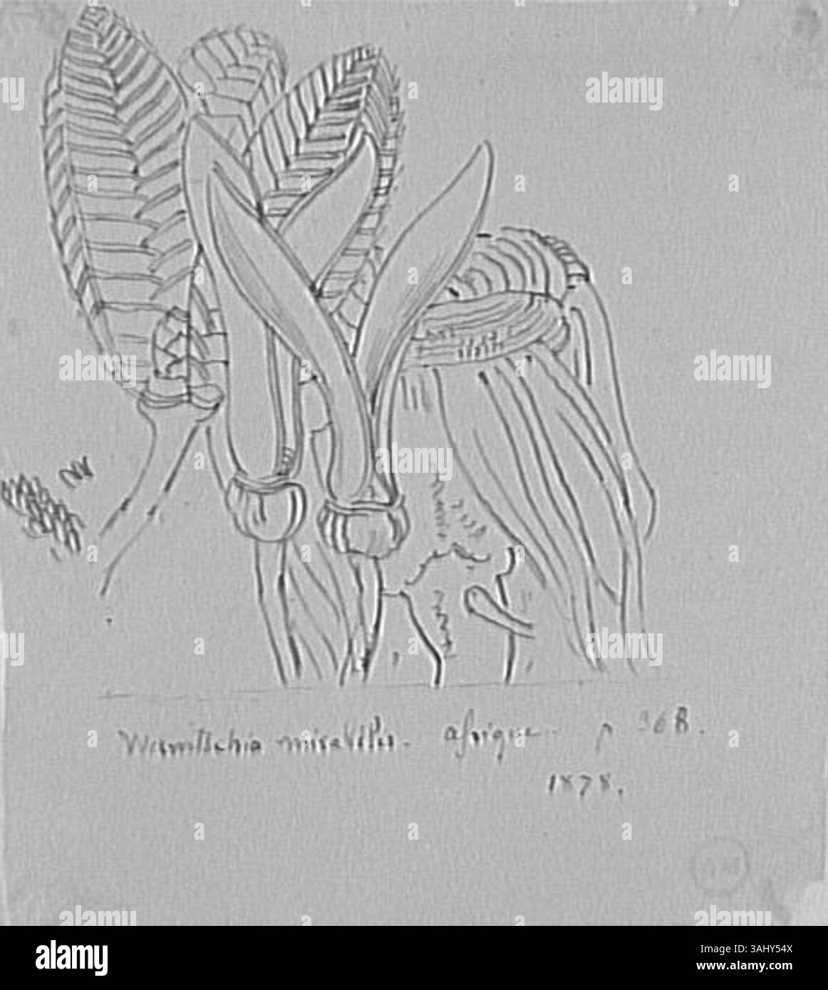 In this study, Gustave Moreau examines an African tomb, focusing on the ...