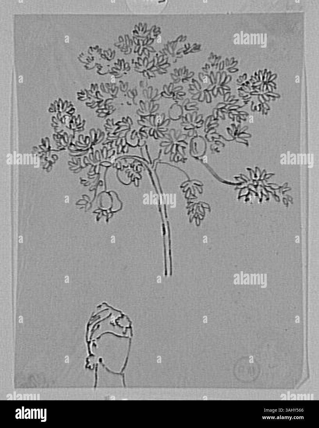 Gustave Moreau’s (1826–1898) 'Etude d’arbre fruitier et tête indienne ...