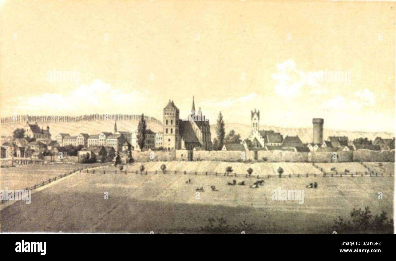 This lithograph by Armin Wegner from 1870 depicts the town of Schwetz ...