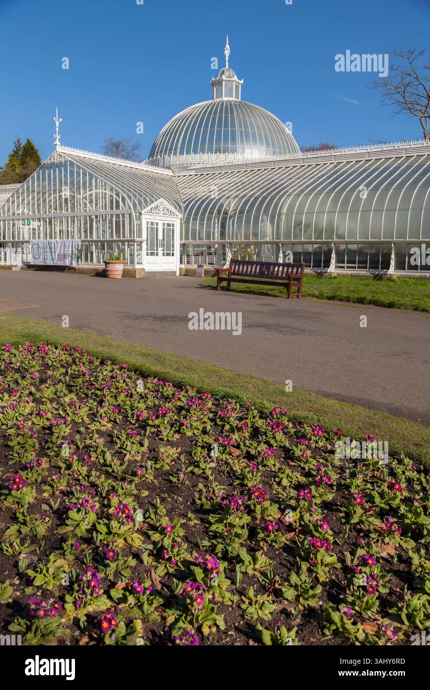 The Kibble Palace in Glasgow's Botanic Gardens in the Spring sunshine ...