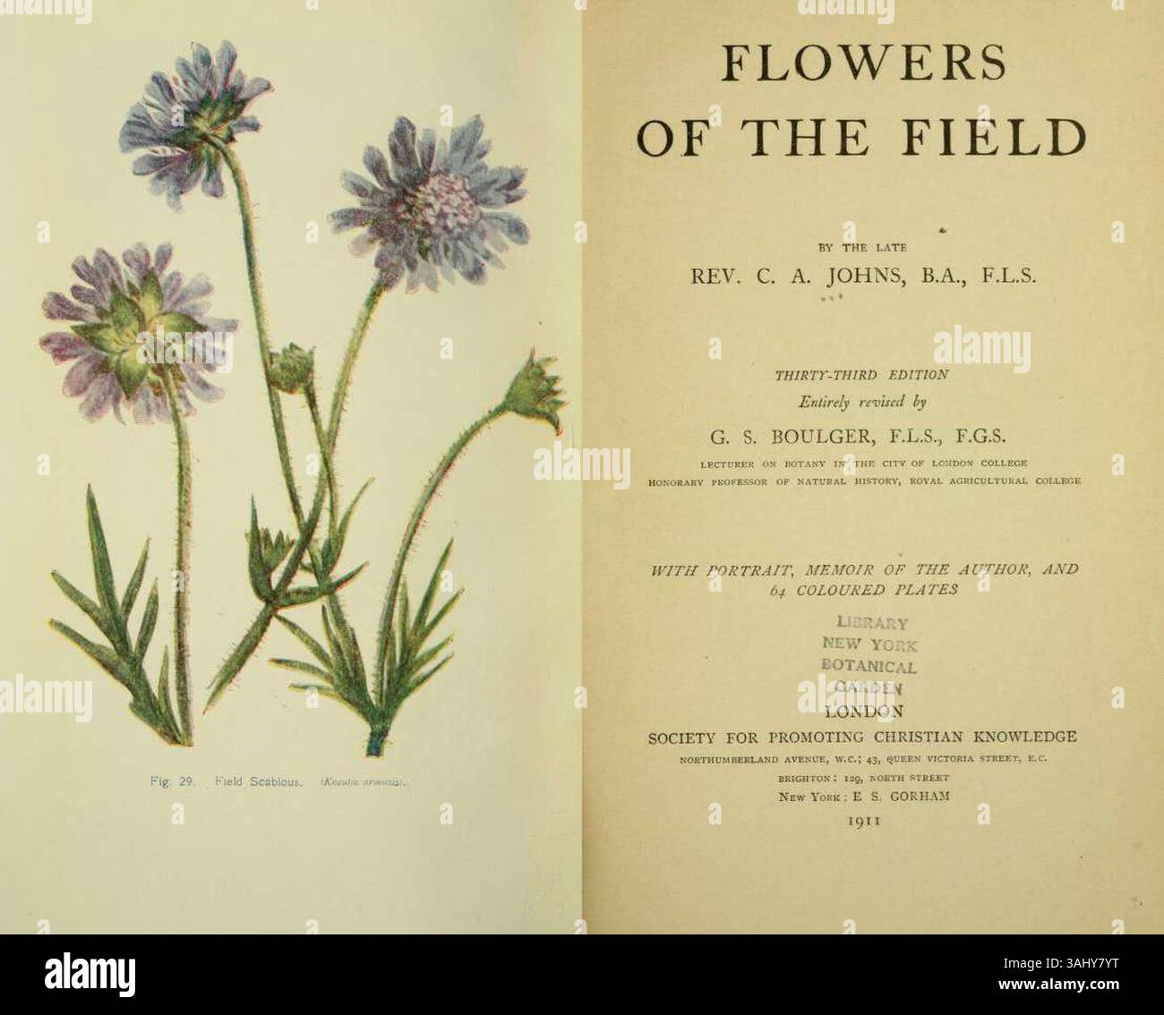 Frontispiece and title page from the 1911 edition of 'Flowers of the ...