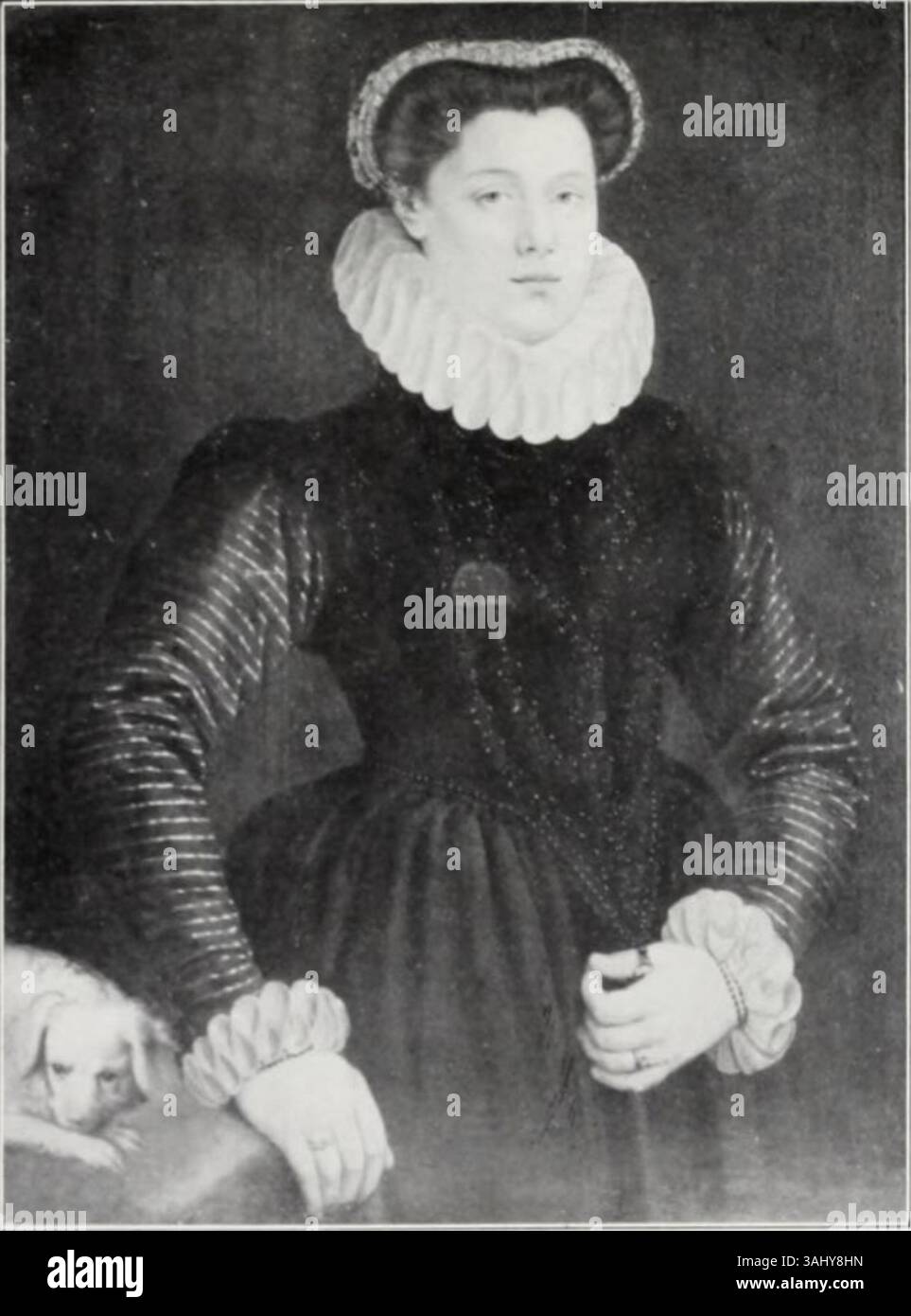 Anthonis Mor’s 1577 portrait of a lady with a dog showcases the artist ...