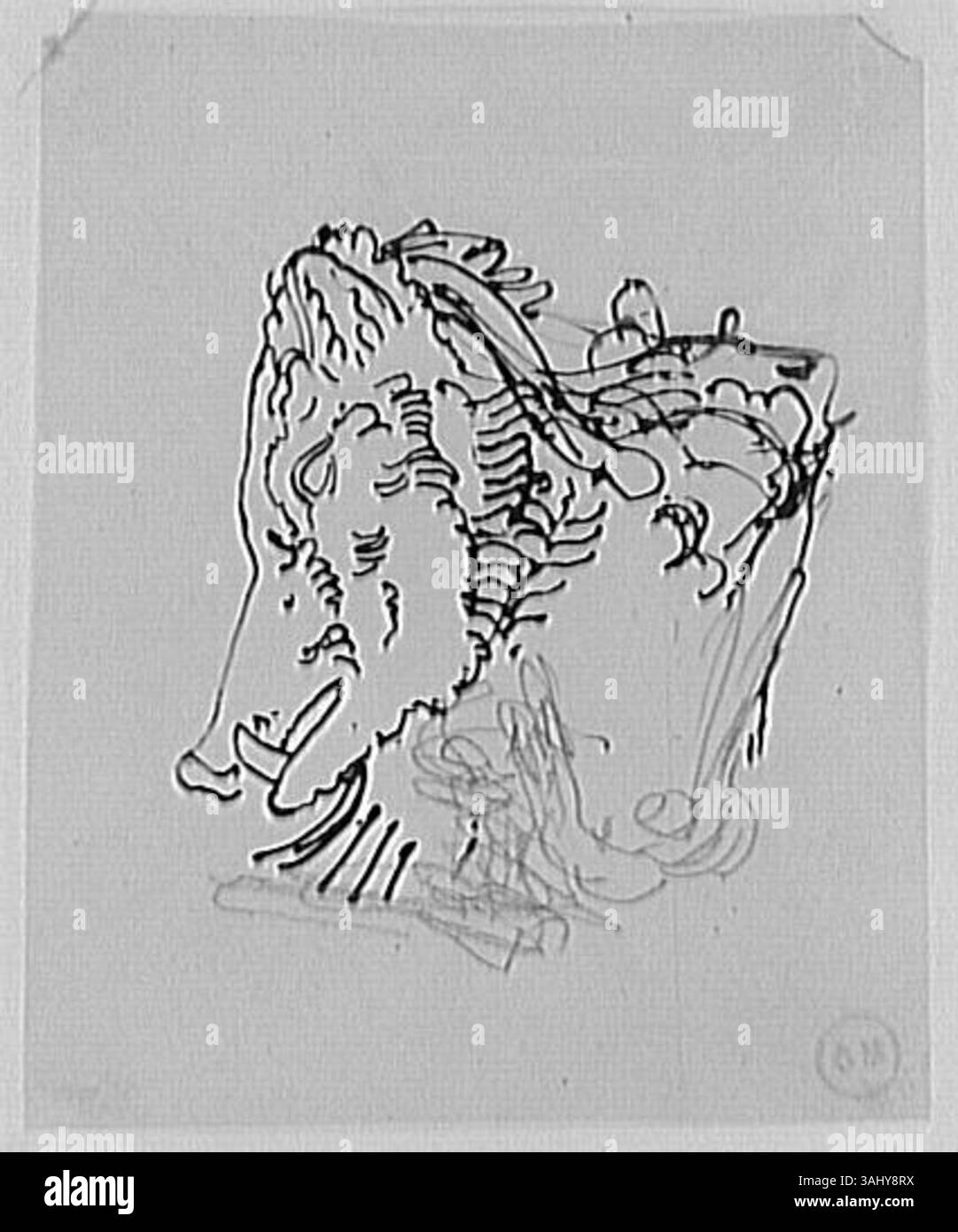 Studies of a boar's tusk and a bull's head by Gustave Moreau, based on ...