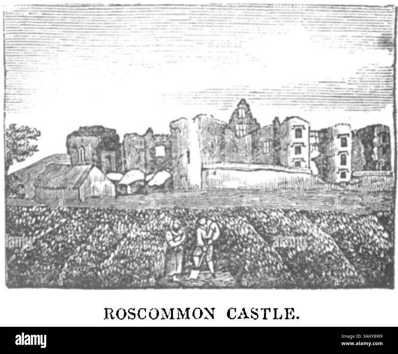 Illustration of Roscommon Castle from an 1836 article in The Dublin ...