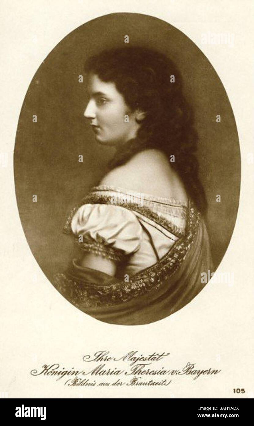 This 1869 portrait of Queen Maria Theresa of Bavaria depicts her in ...