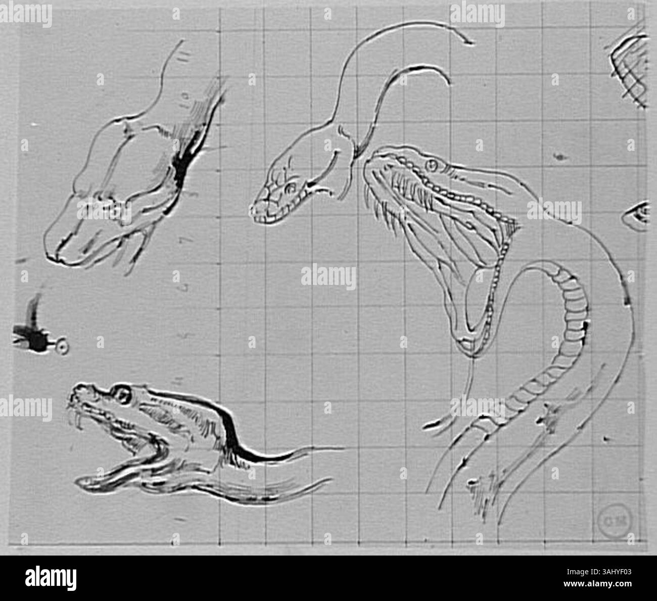 This series of four studies depicts serpent heads, illustrating Gustave ...