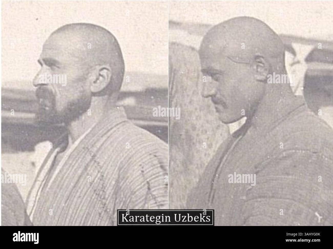‘Uzbek Karategin Phenotype of Balkh, Bactria, Afghanistan’, an image ...