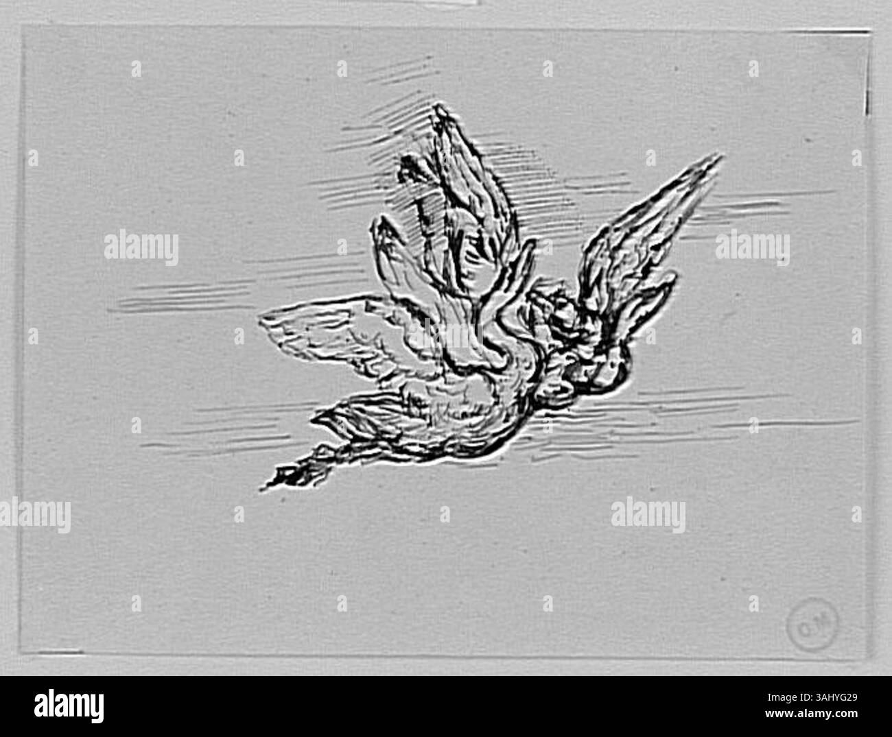 Freedom experience Black and White Stock Photos & Images - Alamy