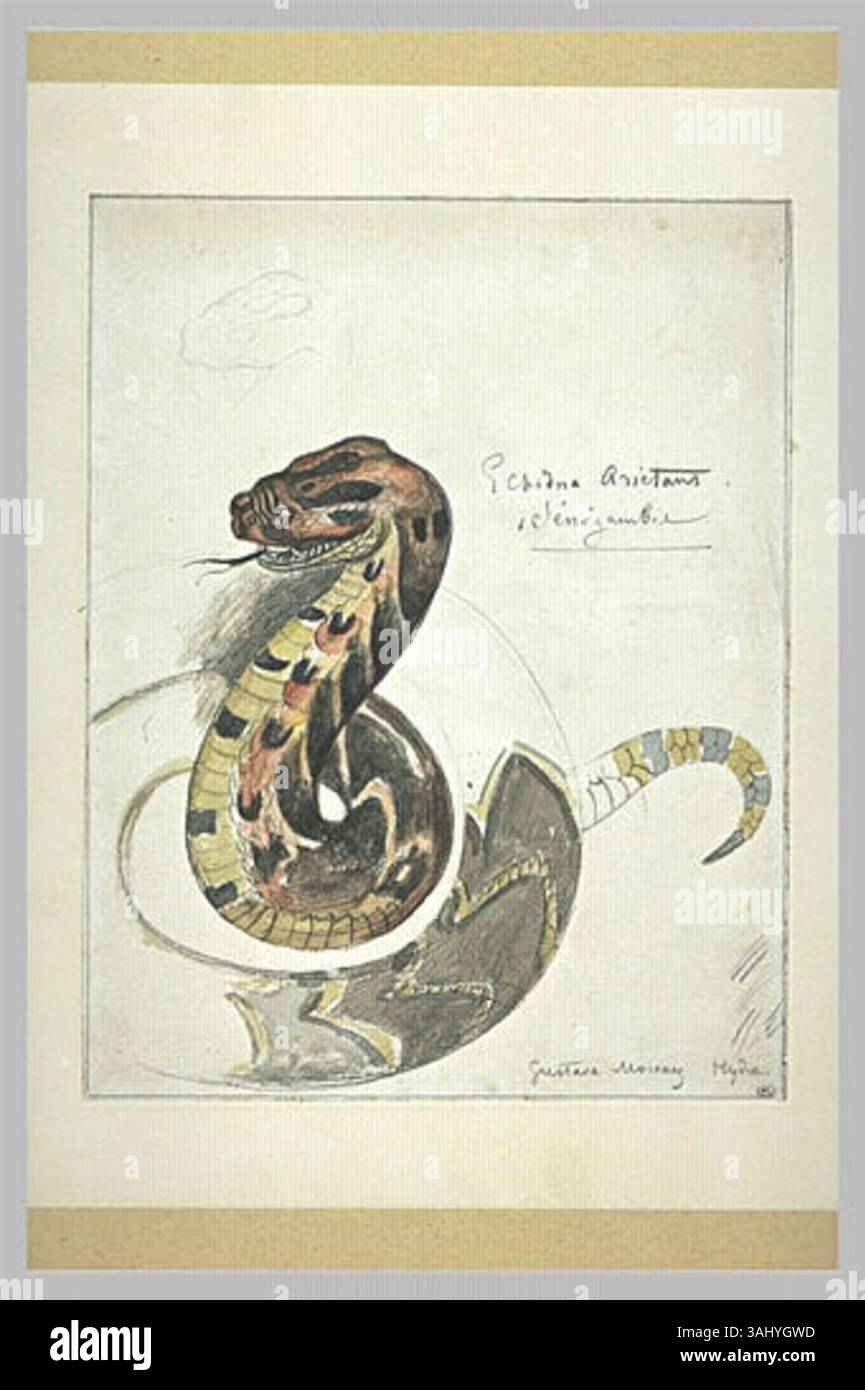 'Etude de vipère heurtante' by Gustave Moreau, created between 1850 and ...