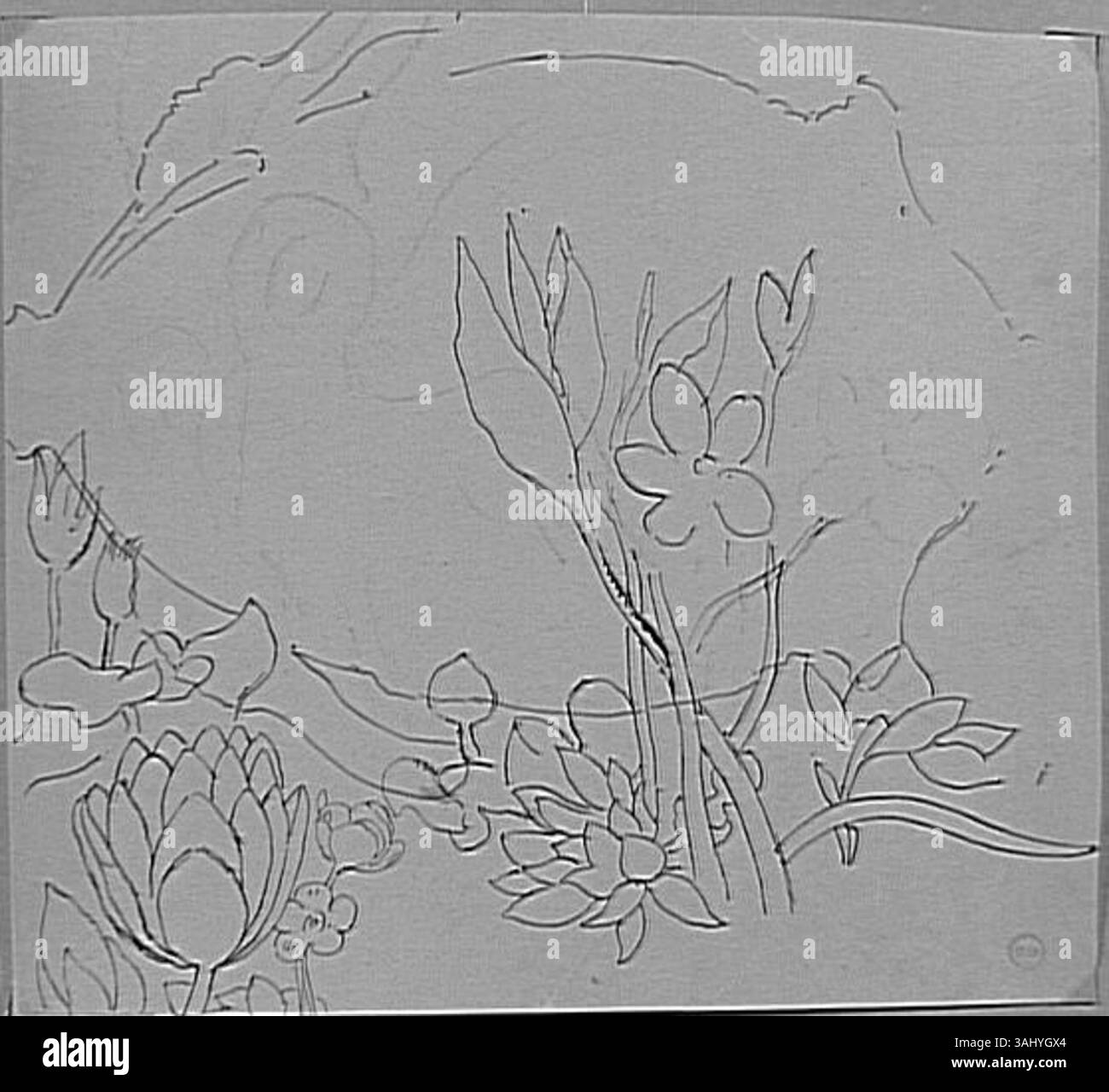 This study of flowers for 'The Daughters of Thespius' by Gustave Moreau ...