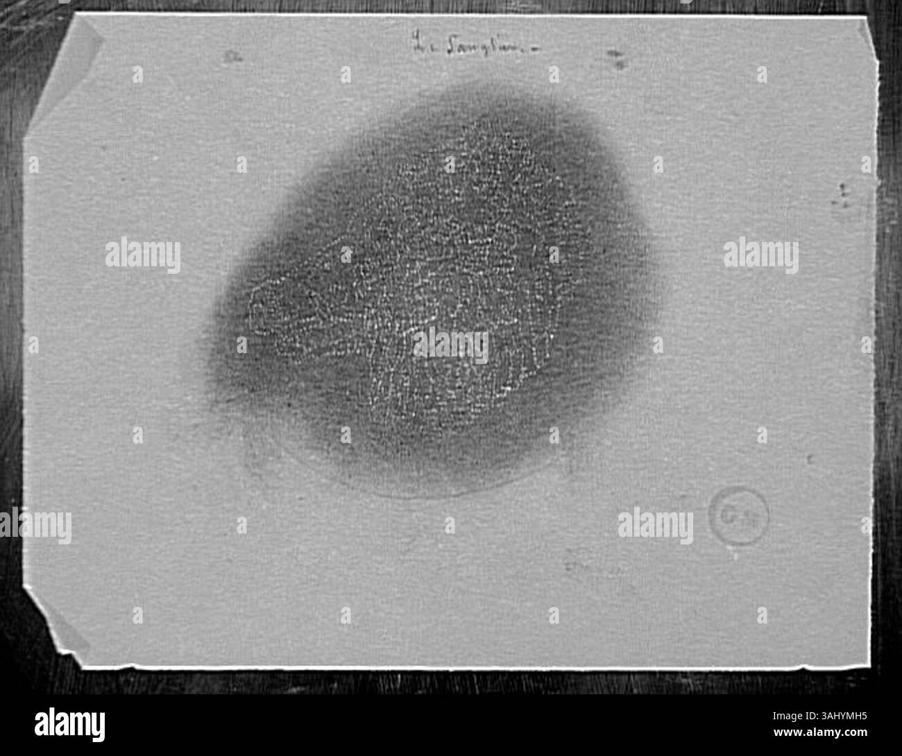 Etude du detail Black and White Stock Photos & Images - Alamy
