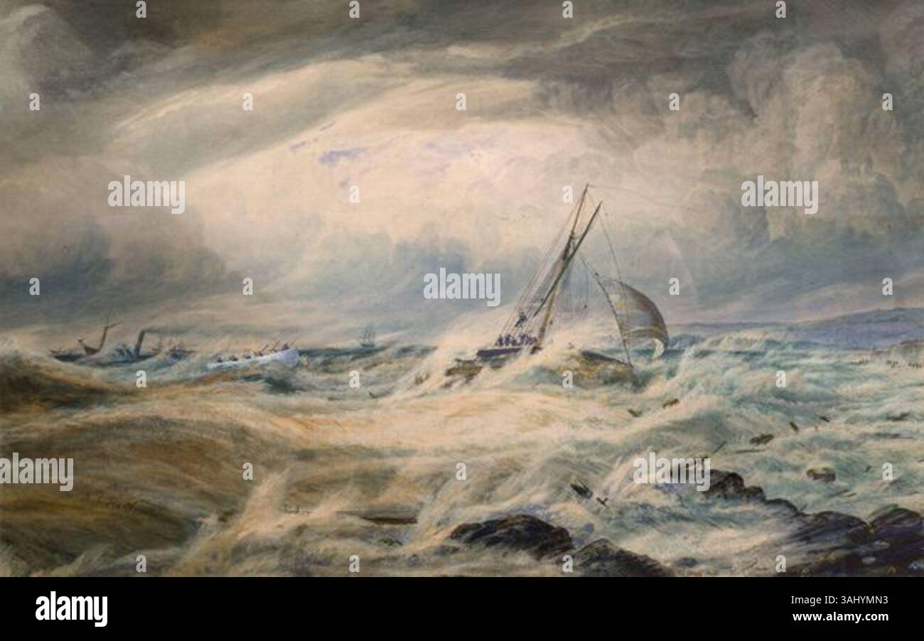 A painting by Henry Albert Hartland from 1865 depicting the SS Ibis ...