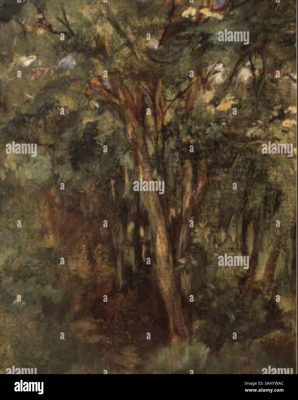 Édouard Manet's 1859 painting 'Tronc d'arbres' (Tree Trunks) showcases ...