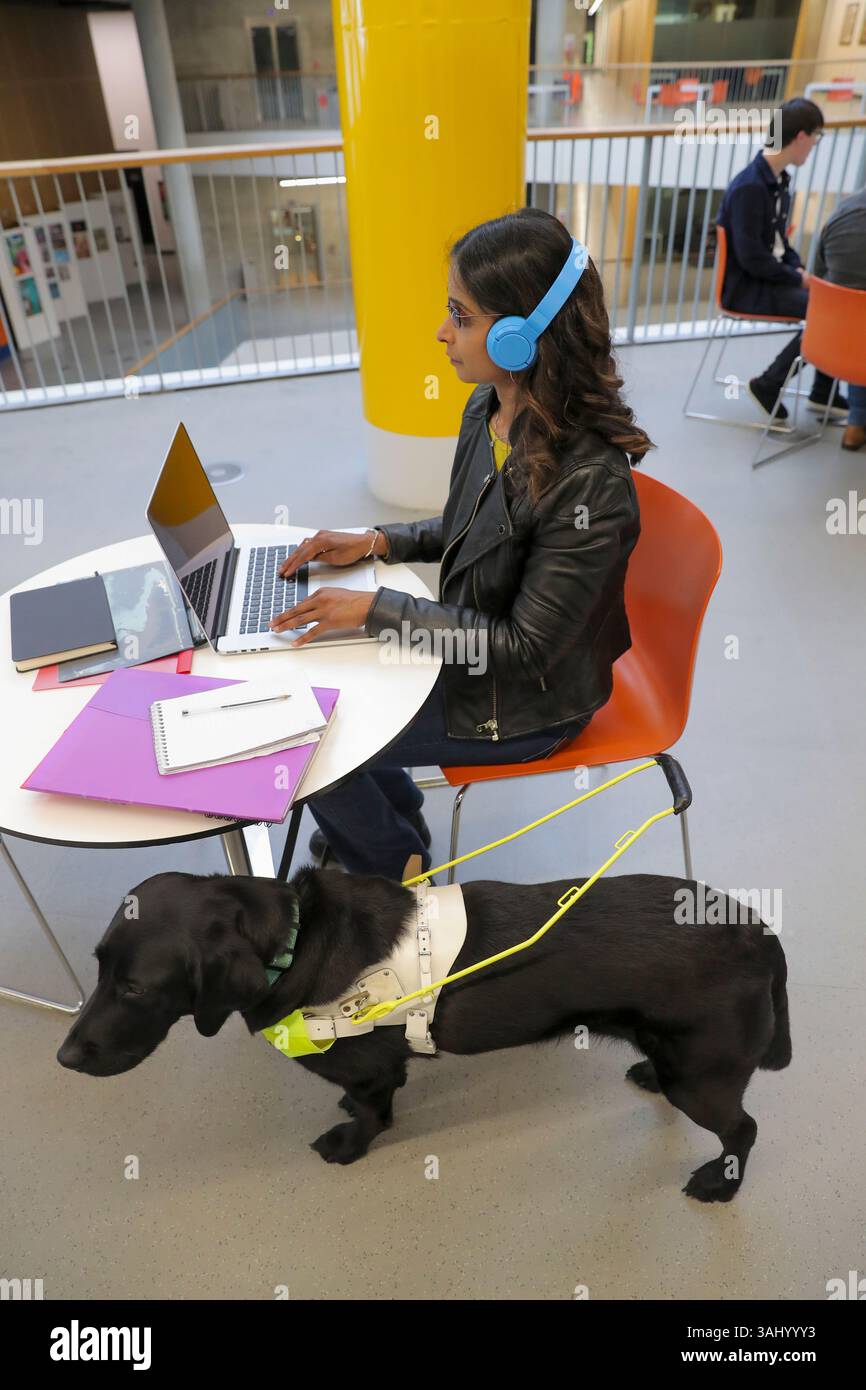 Student with guide dog at university Stock Photo - Alamy