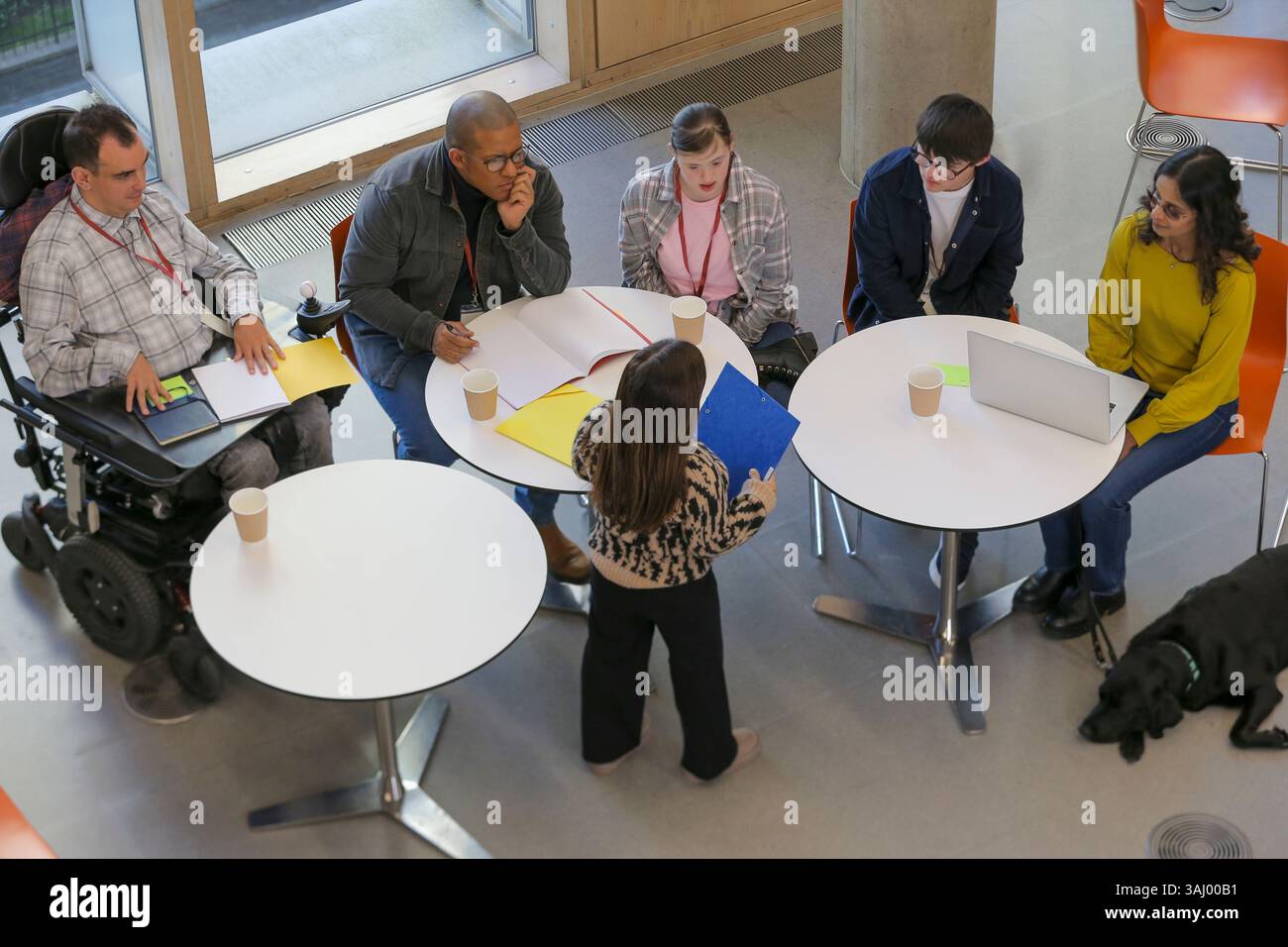 Disabled students and teacher at university Stock Photo - Alamy