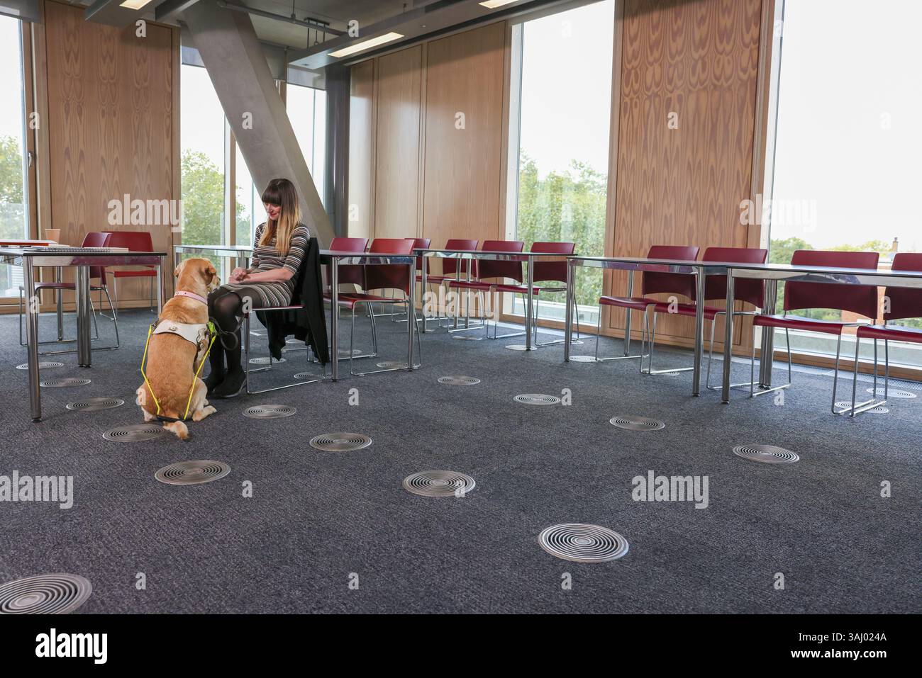 Blind woman seeing eye hi-res stock photography and images - Alamy