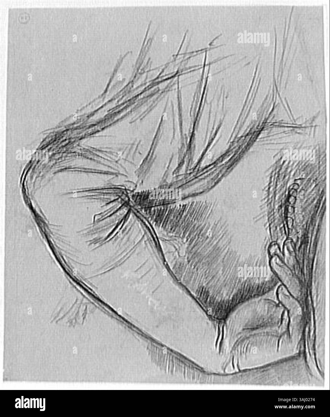 This drawing focuses on the study of a left arm, emphasizing the ...