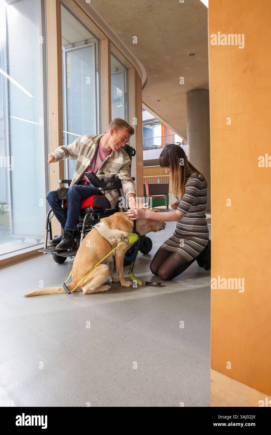 Disabled coworkers with guide dog in office Stock Photo - Alamy