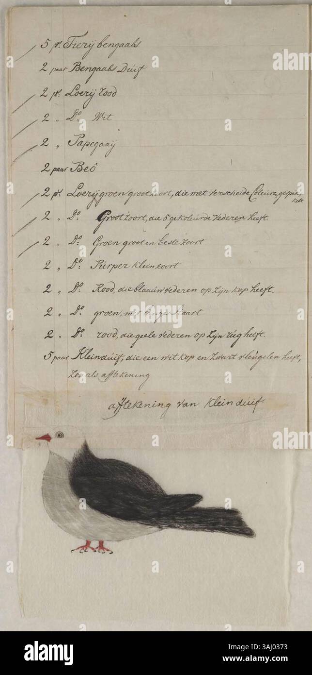 The 1813 print depicts a small dove, part of a series of exotic animals ...