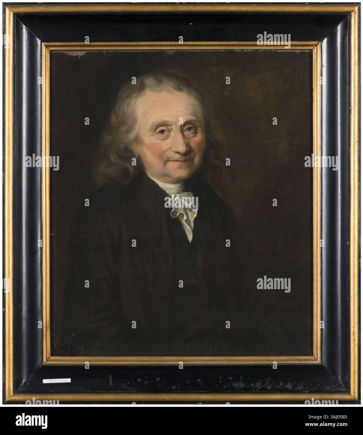 This 1799 oil portrait by Friedrich Ludwig Hauck depicts Schelte Hessel ...