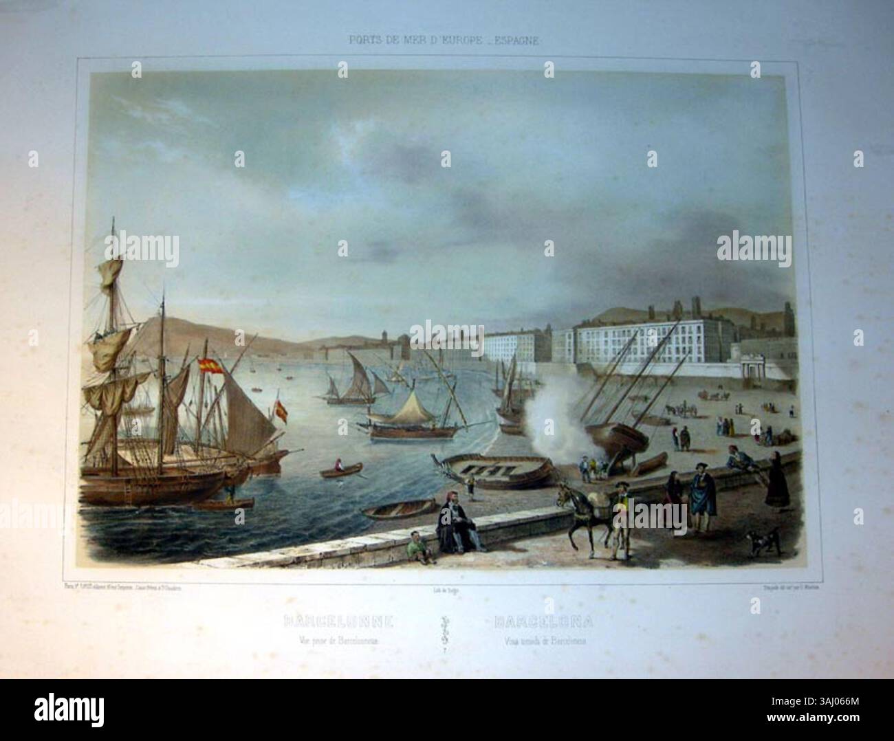 Alsamora peracaula hi-res stock photography and images - Alamy