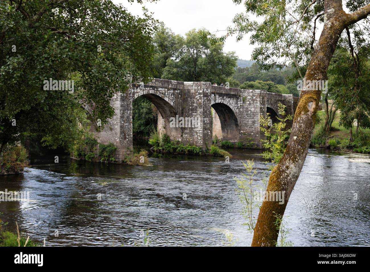 Pontevea medieval bridge in Teo, Ulla river. Galicia Stock Photo - Alamy