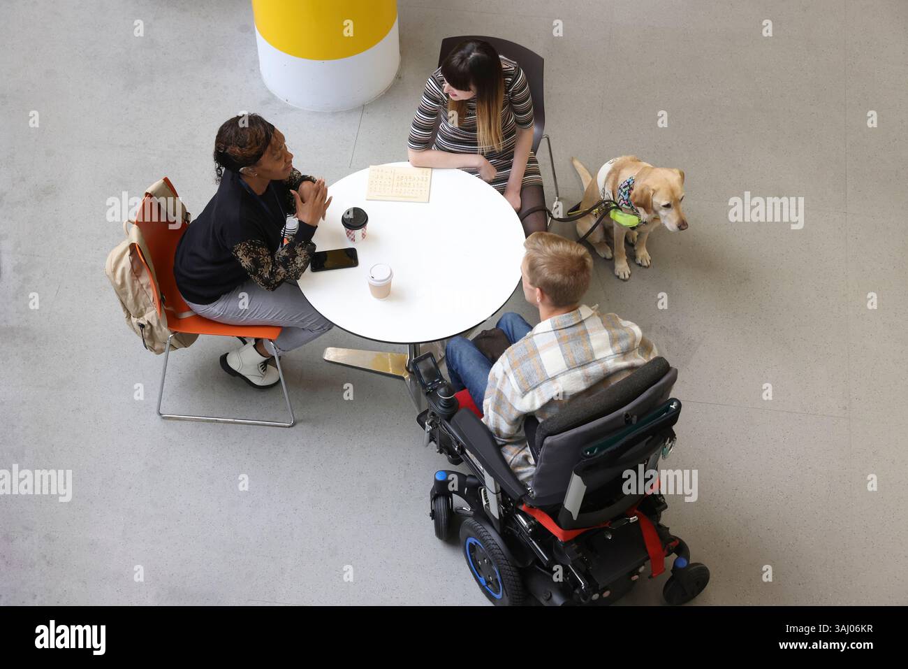 Smart dog table hi-res stock photography and images - Alamy