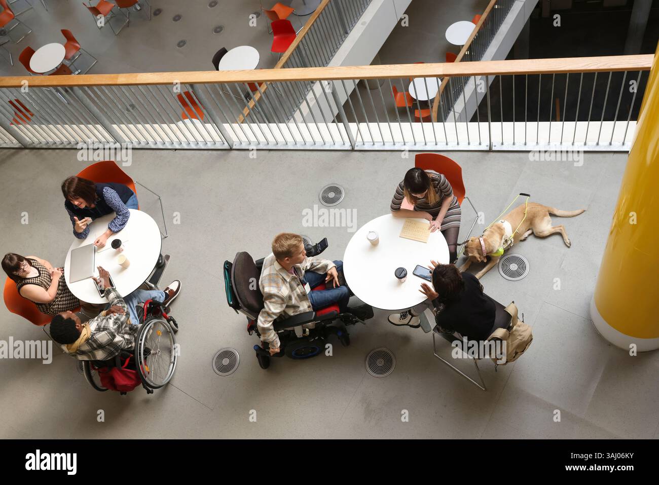 Disabled people talking at tables Stock Photo - Alamy