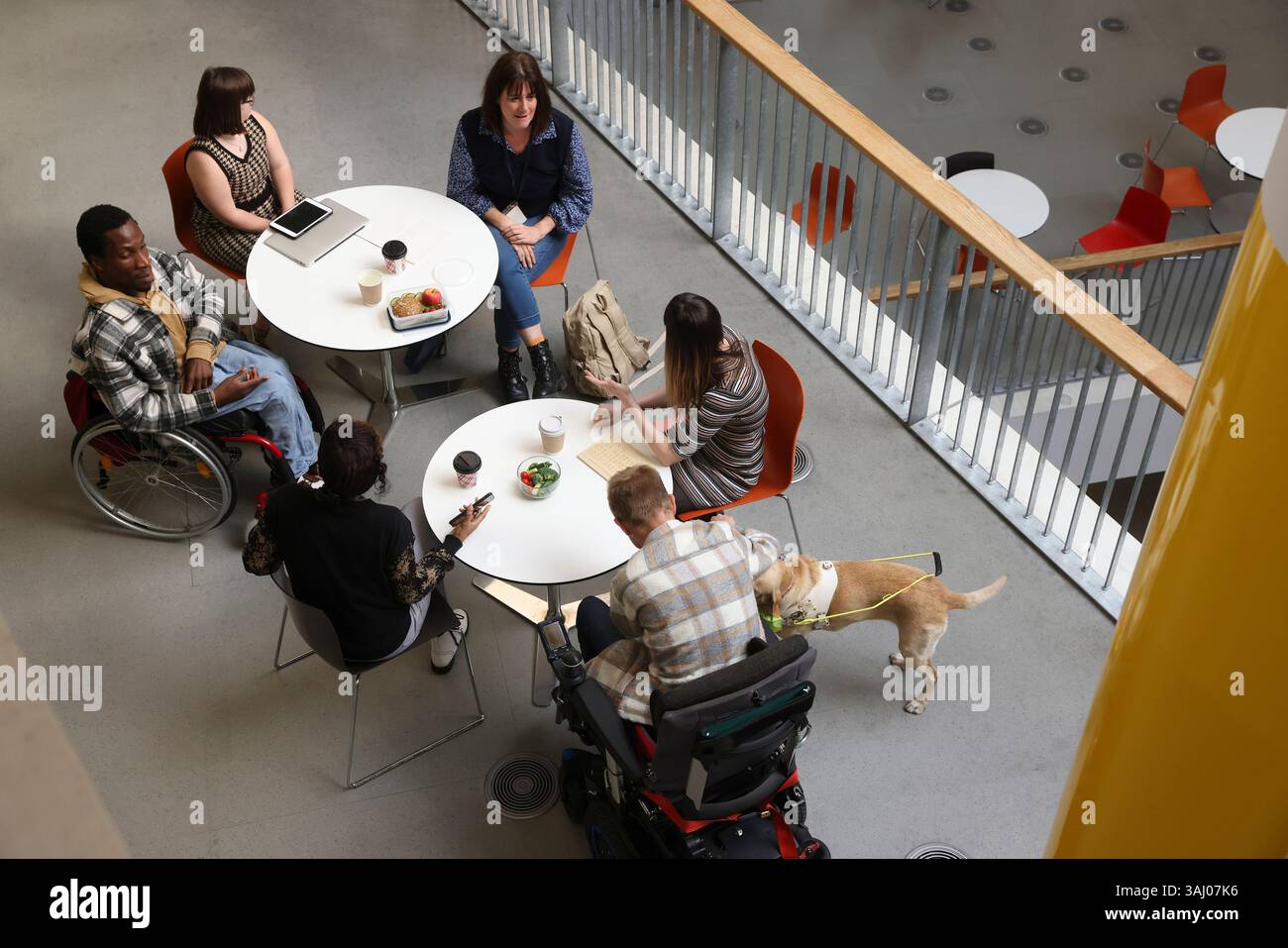 Disabled people talking at tables Stock Photo - Alamy