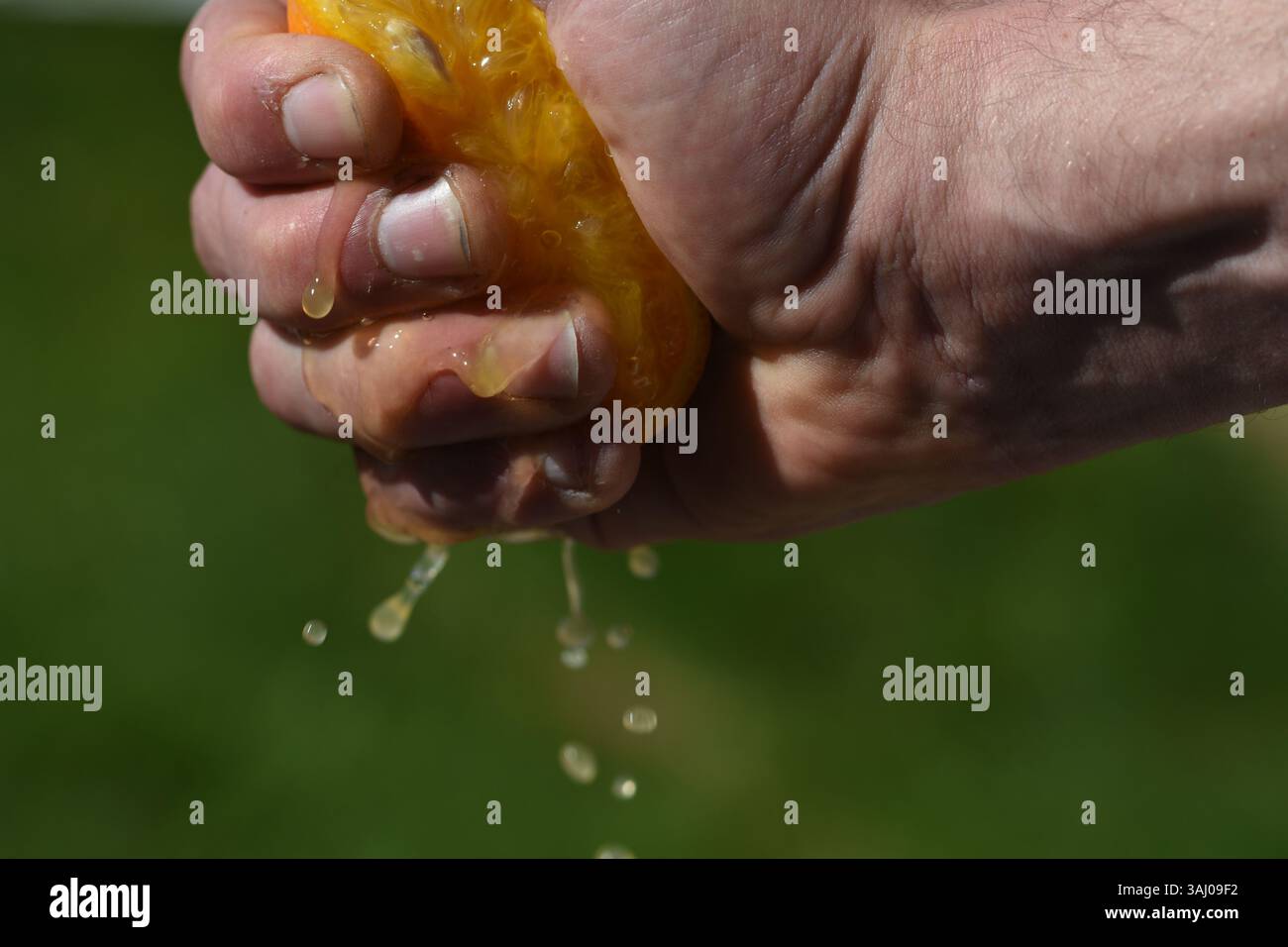 half orange hand squeezing Stock Photo - Alamy