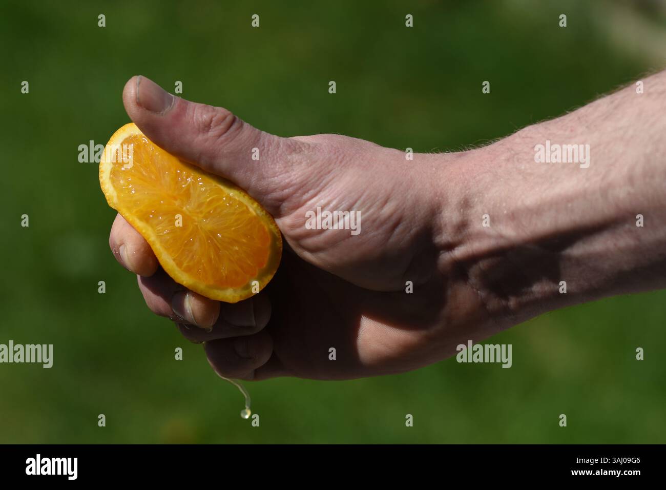 half orange hand squeezing Stock Photo - Alamy