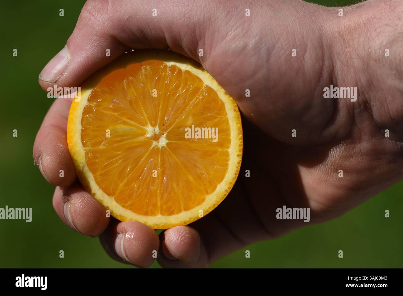 half orange hand squeezing Stock Photo - Alamy