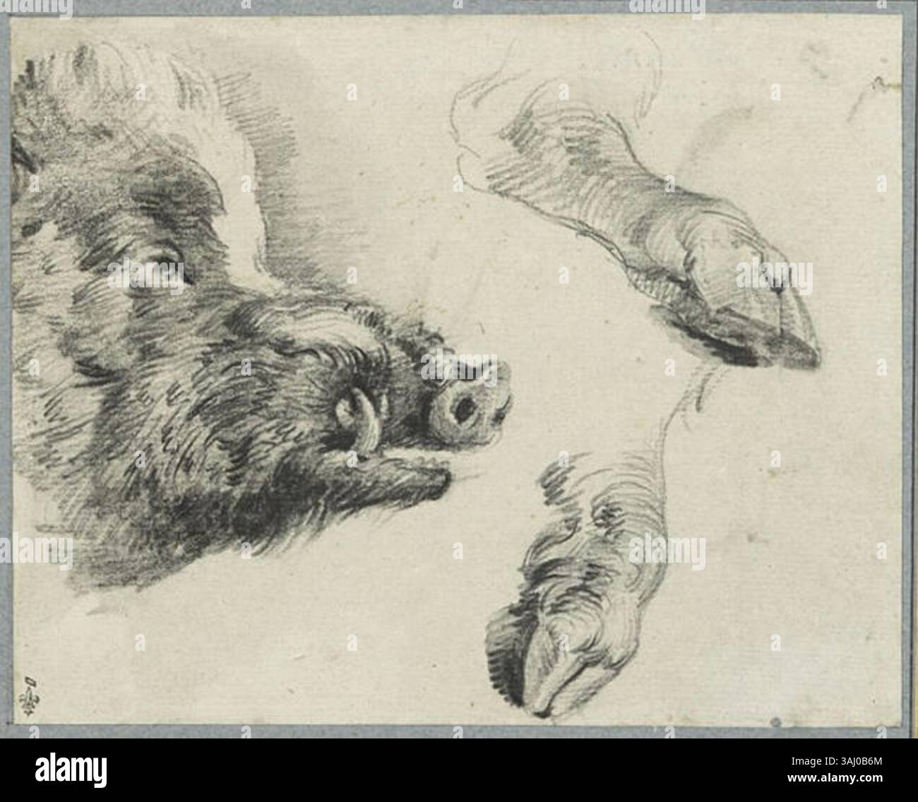 Géricault's 'Hure et traces de sanglier' depicts a wild boar’s head ...