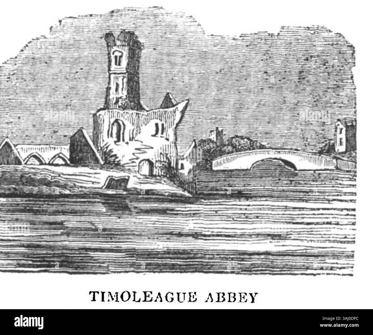 This illustration of Timoleague Abbey, from *The Dublin Penny Journal ...