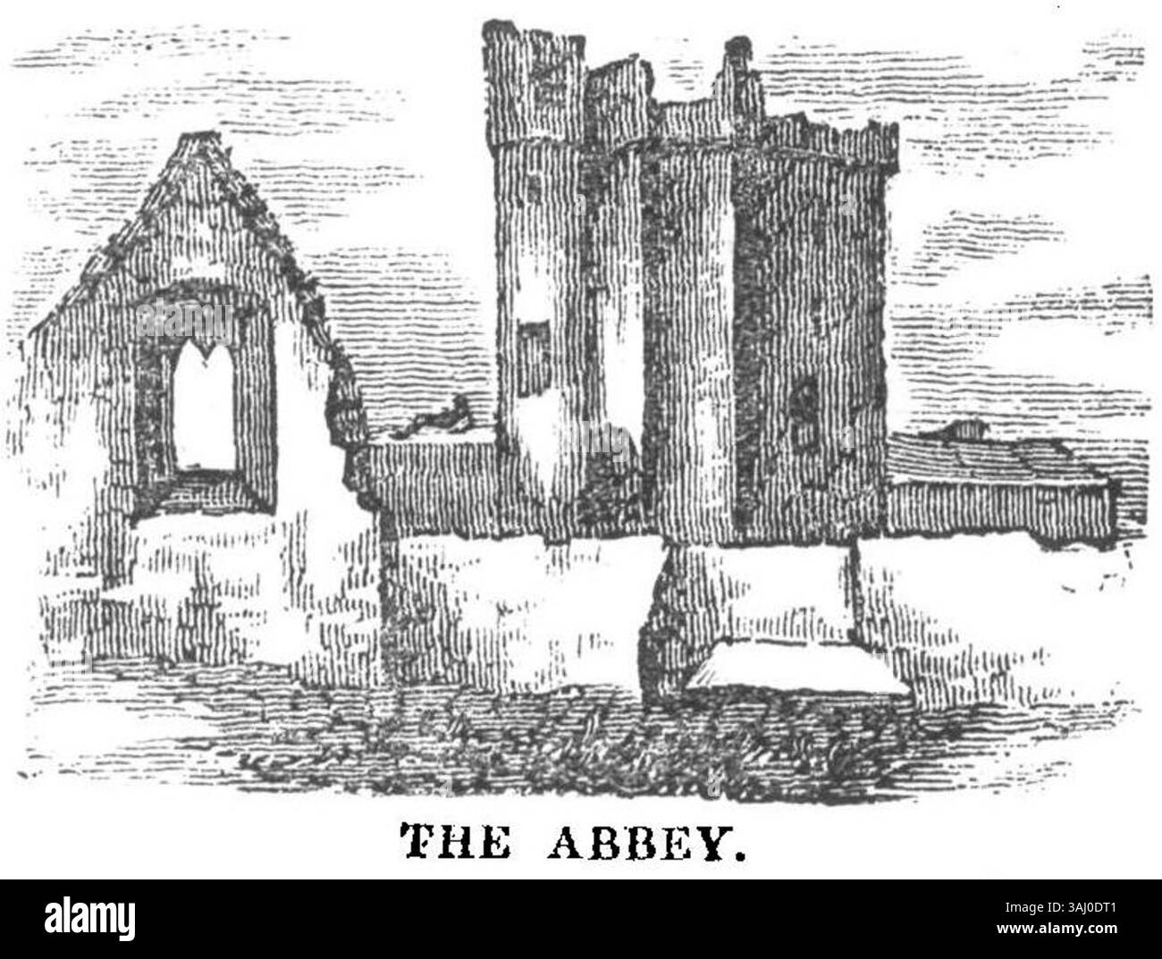 This illustration of Selsker Abbey, from 'The Dublin Penny Journal' of ...