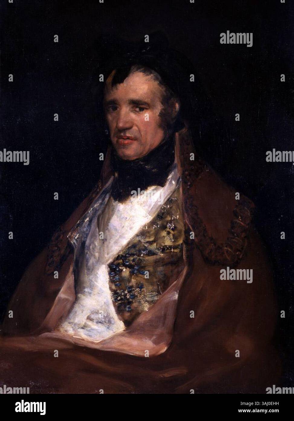 This 1799 portrait by Francisco de Goya depicts Pedro Mocarte in oil on ...