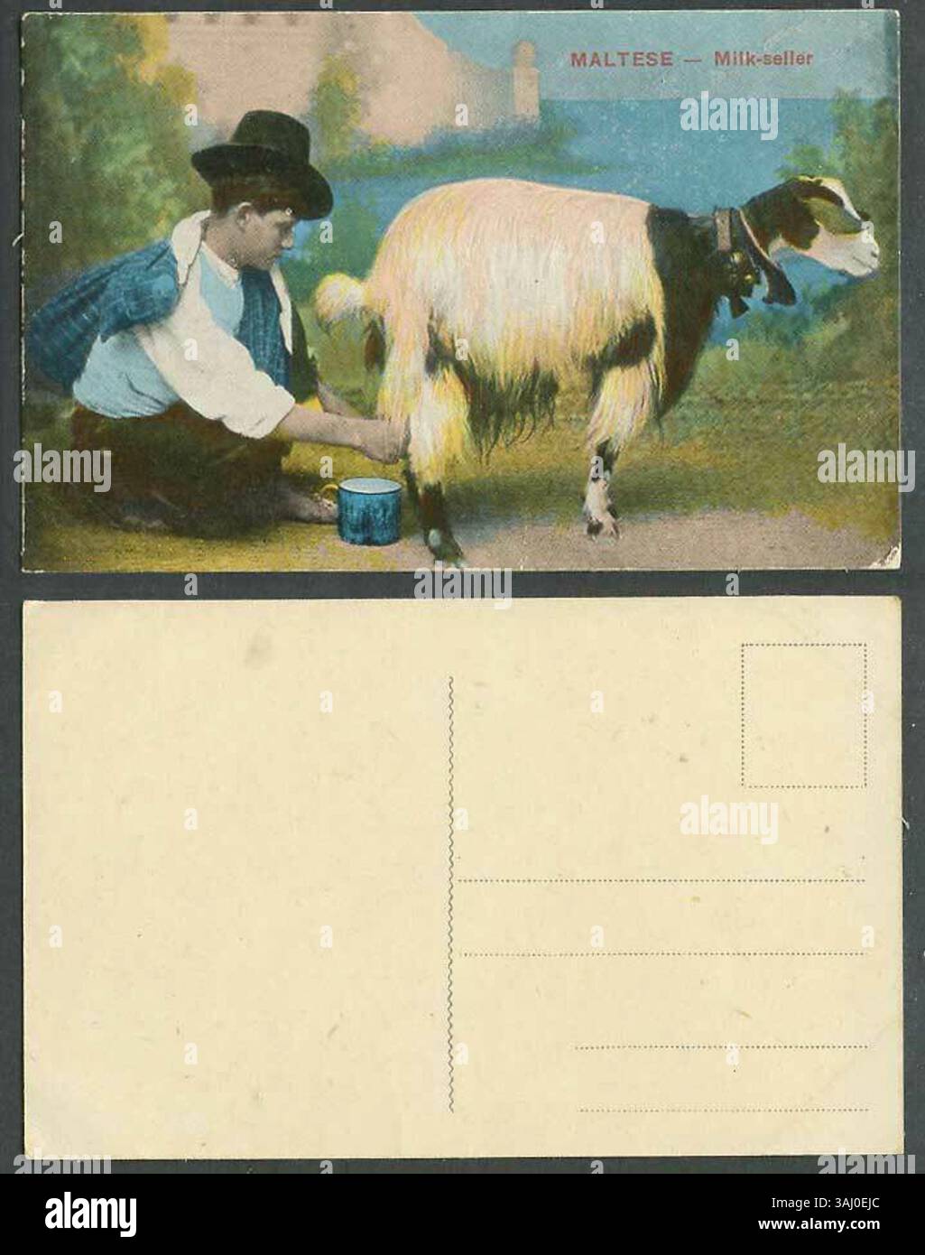 This circa 1910 color postcard depicts a traditional Maltese milk ...