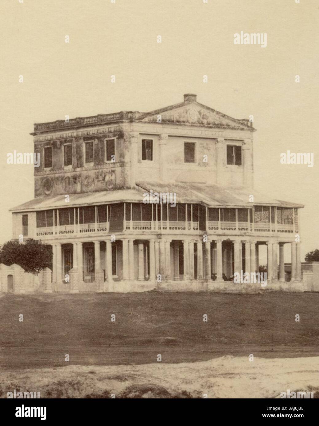 This cropped version of a 1860s silver albumen print showcases Dilaram ...