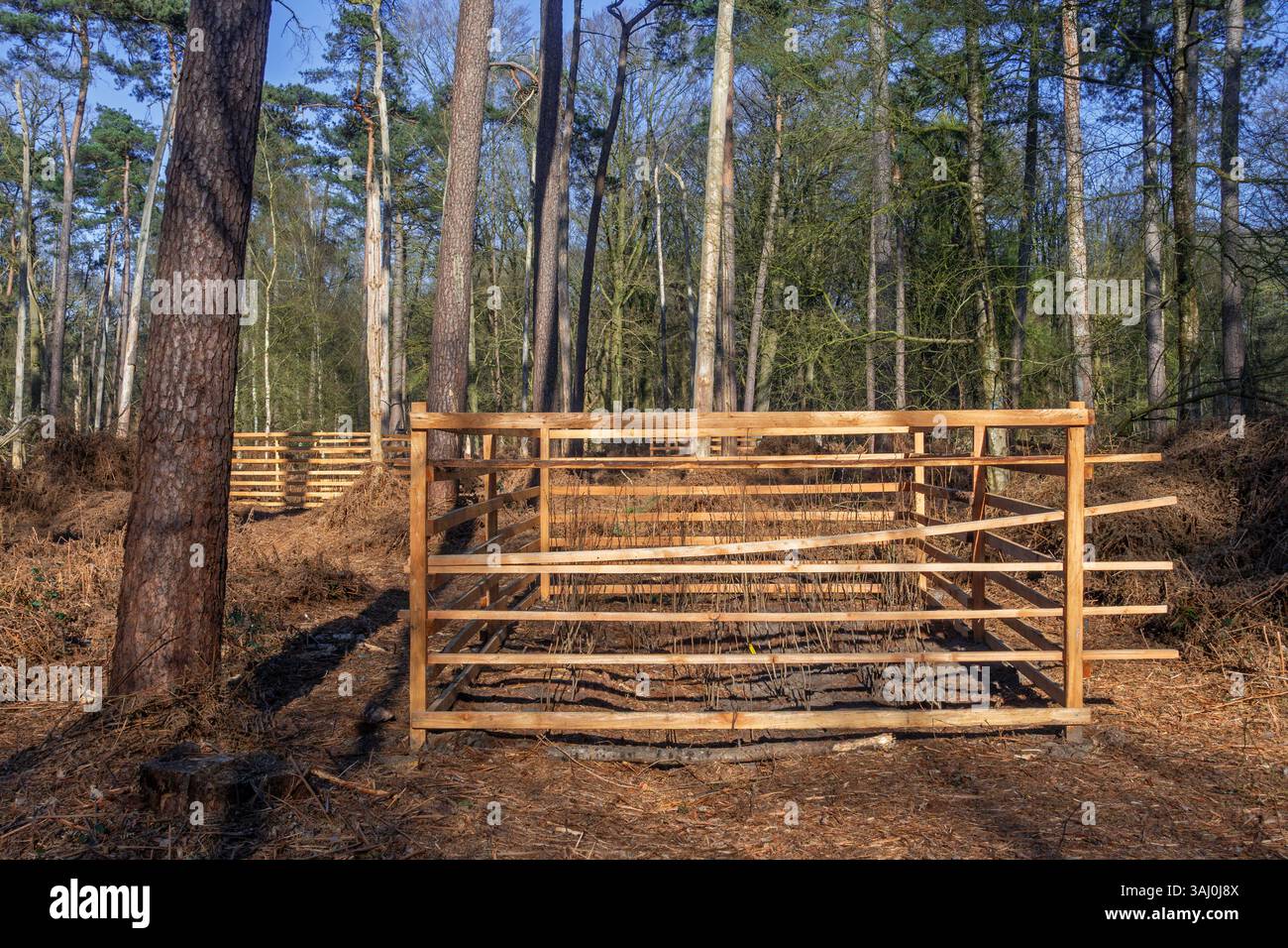 Wooden lattice called reeblock / roe deer block, fence for game ...