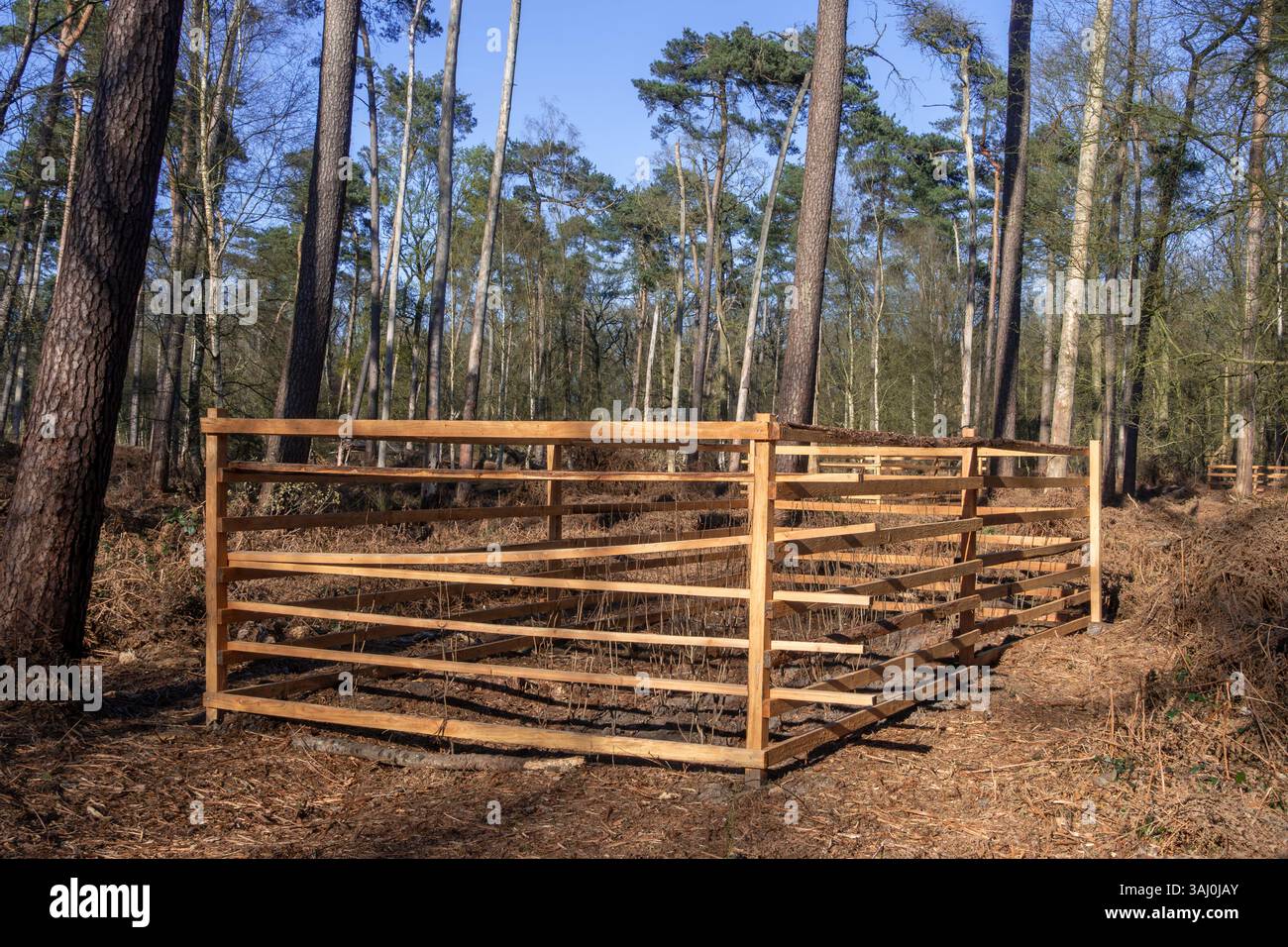 Wooden lattice called reeblock / roe deer block, fence for game ...